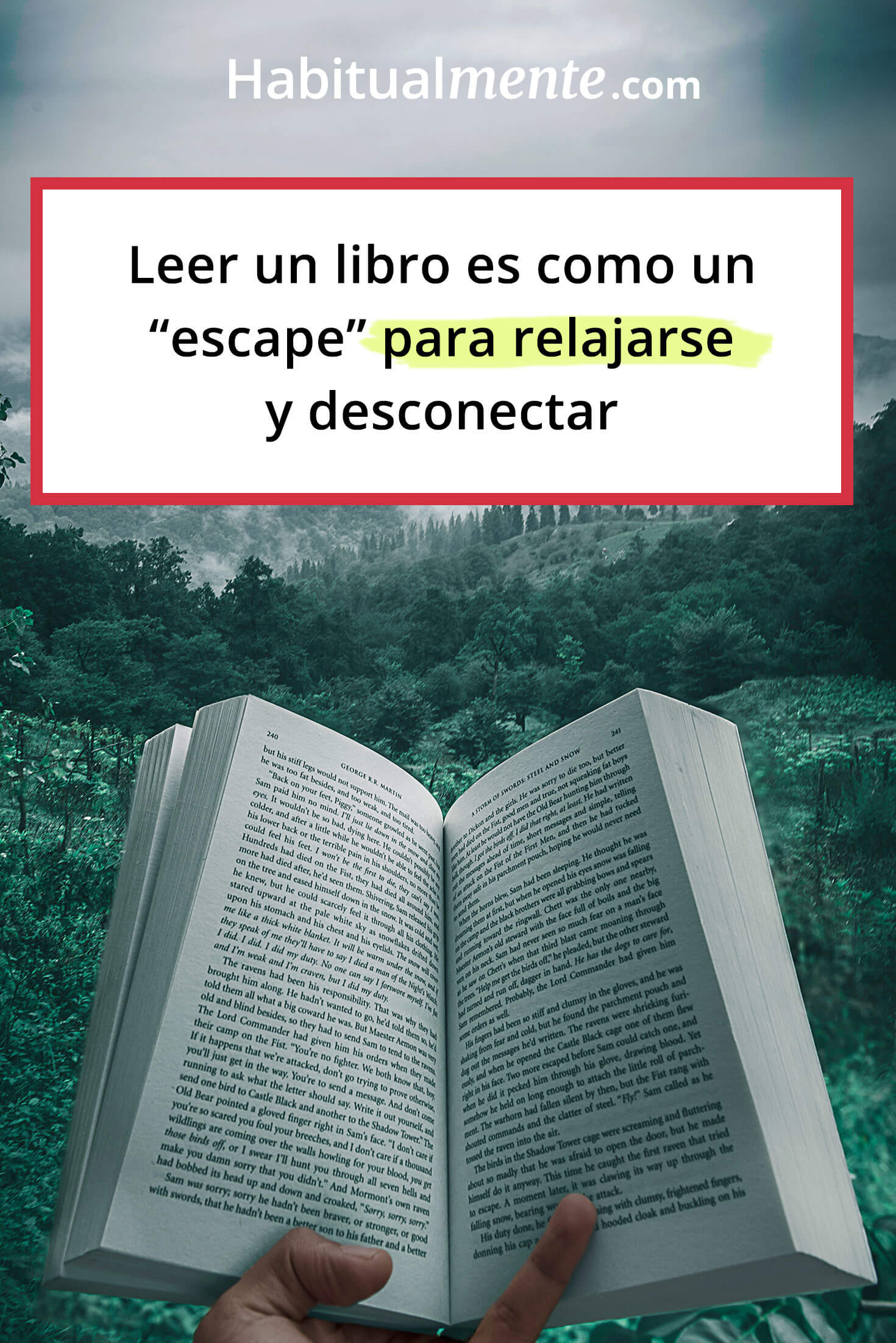 Cómo Lograr Tener El Hábito De La Lectura En Tu Rutina Diaria Libros