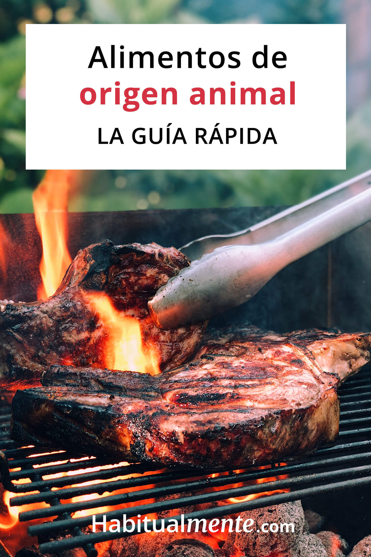 Todo lo que tienes que saber sobre las carnes rojas, pollo, pescado y ...