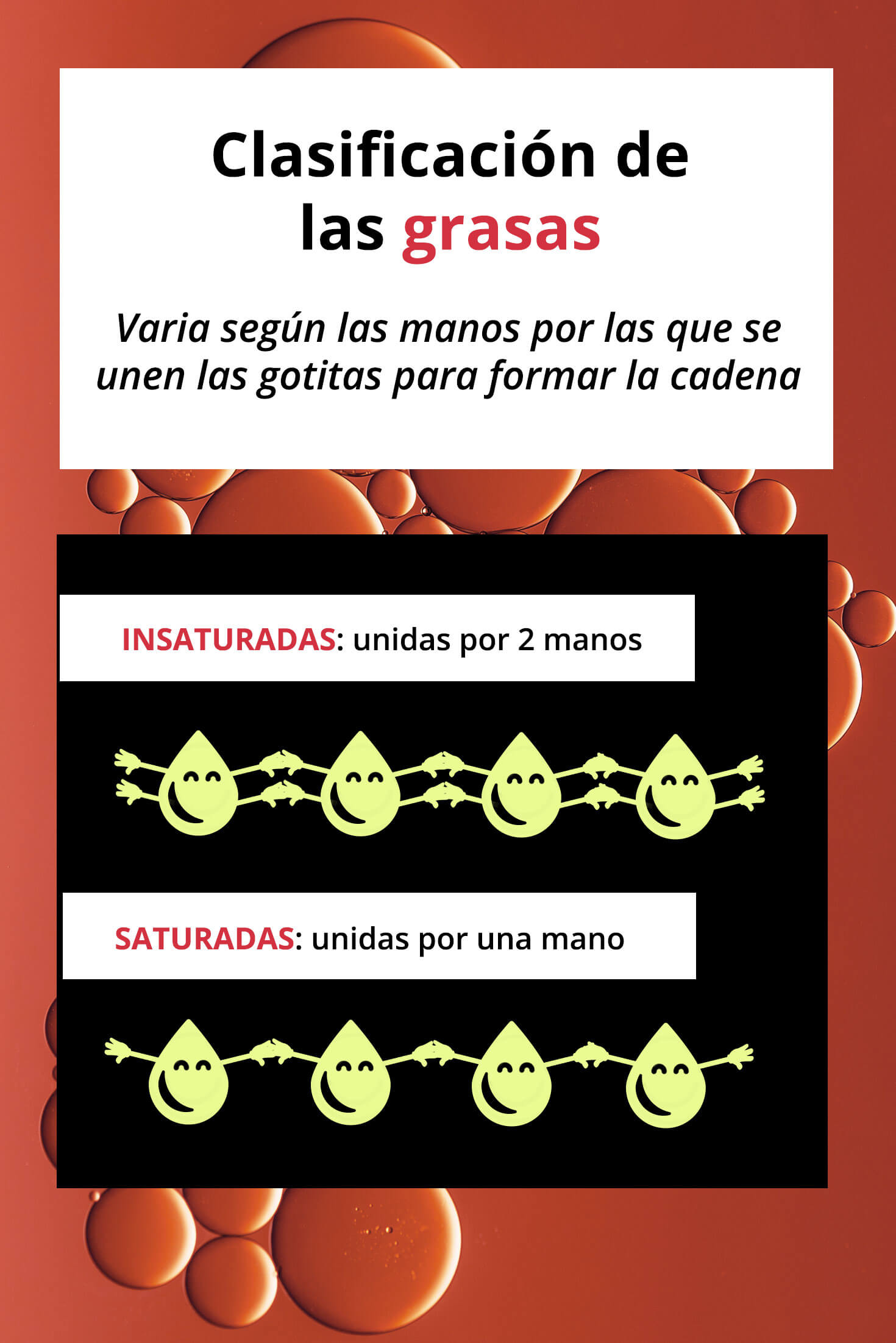 La guía completa sobre las grasas: qué son, cómo elegirlas y cuáles ...