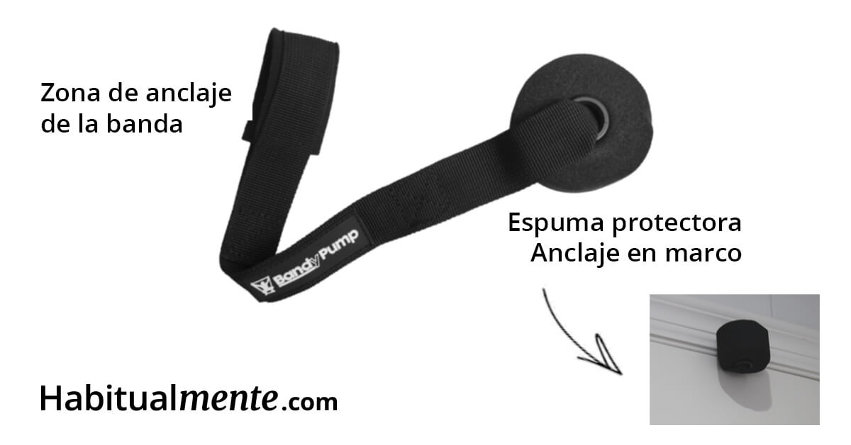 Las bandas de resistencia: una forma efectiva, divertida y fácil de ...
