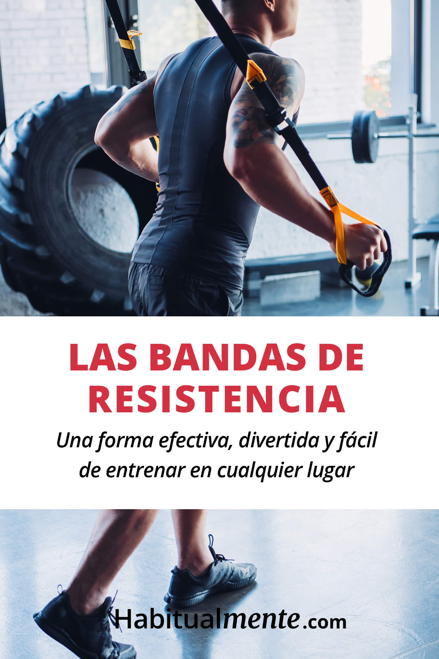 Las bandas de resistencia: una forma efectiva, divertida y fácil de ...