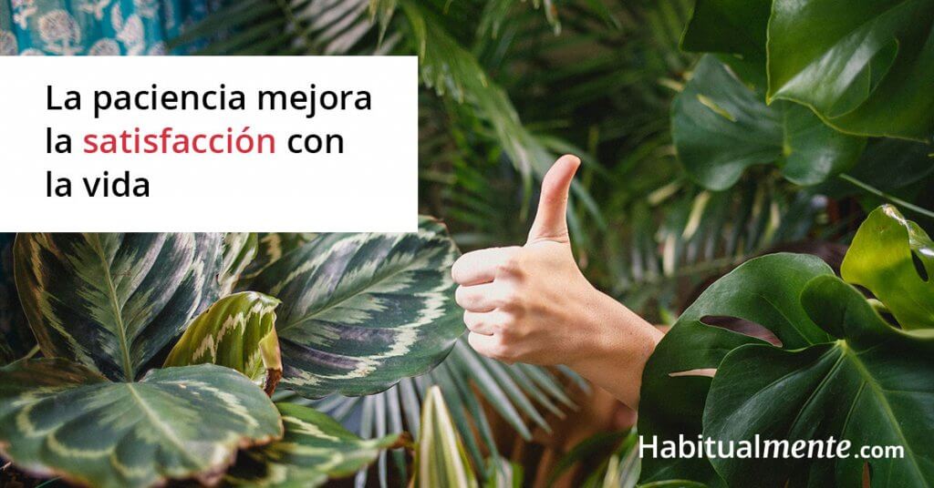 Cómo ser más paciente (estrategias a corto, mediano y largo plazo ...